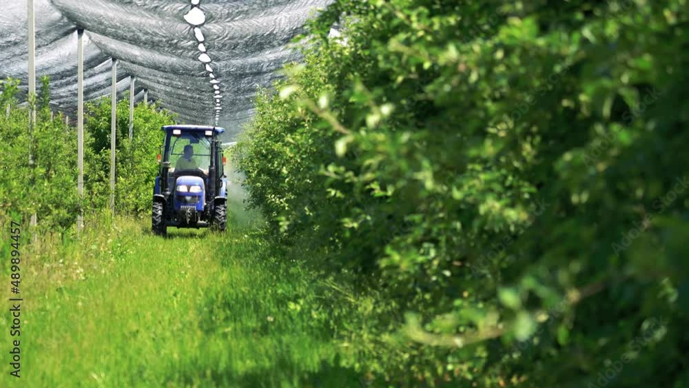 Farmer Driving Tractor Through An Apple Orchard And Spraying Trees With ...