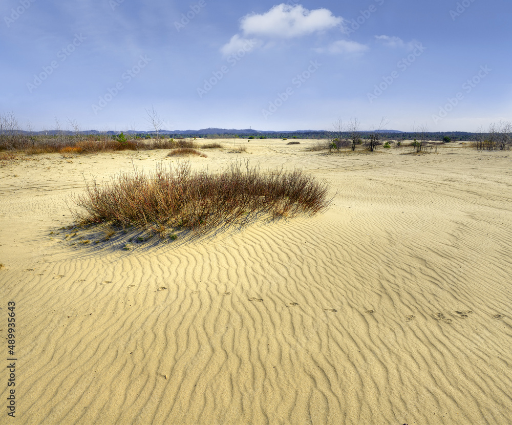 Plakat Bledow Desert, an area of sands between Bledow and the village ...