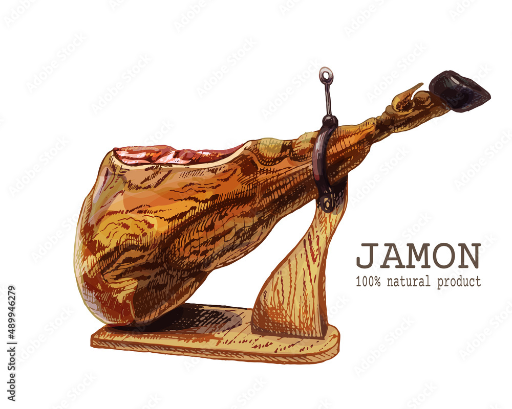 357_jamon_Spanish jamon, traditional jerky, pork jerky, ham sketch ...
