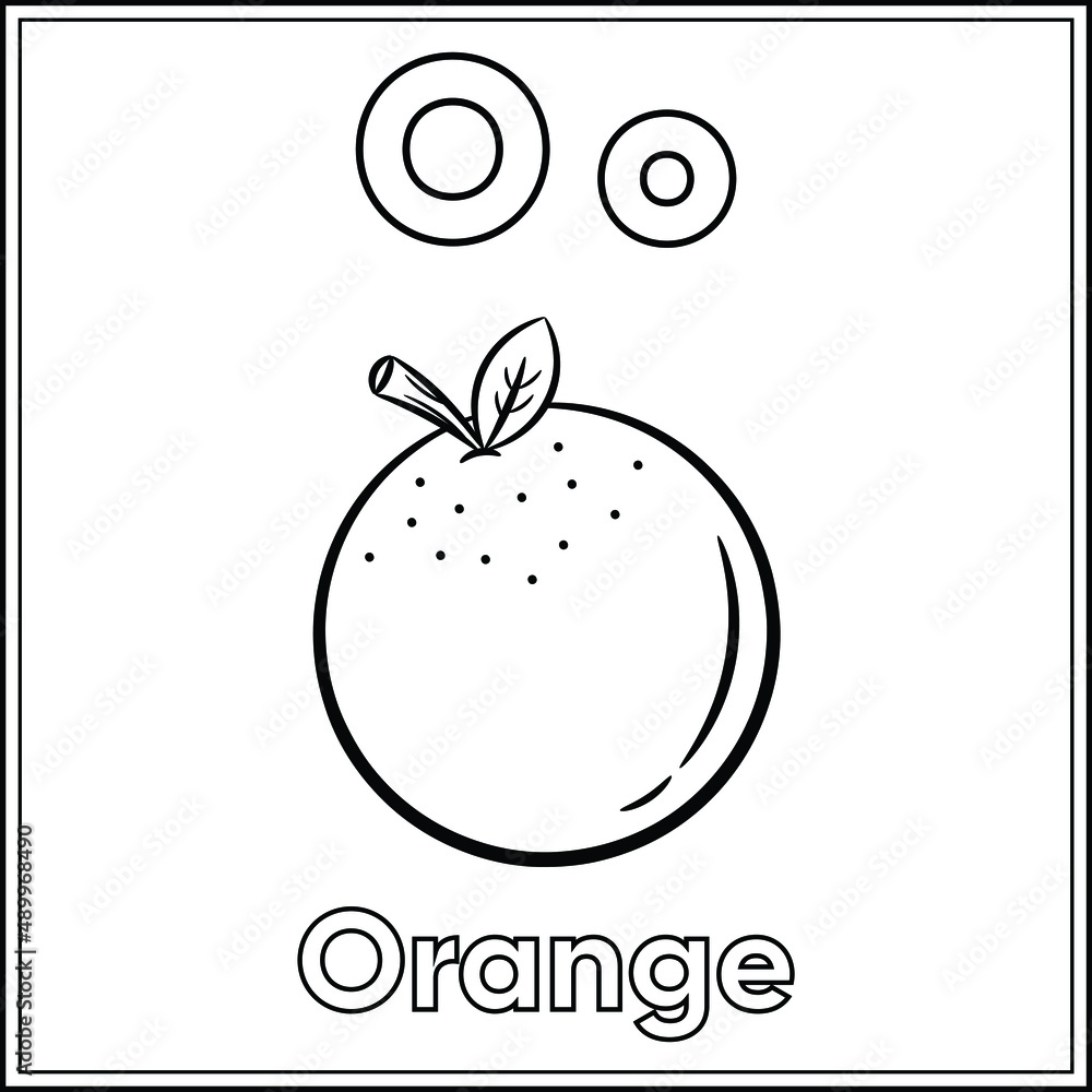 Alphabet flashcard letter O learning with cute orange drawing sketch ...