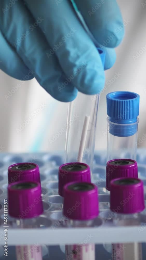 Process of coronavirus PCR antigen testing examination by nurse medic ...