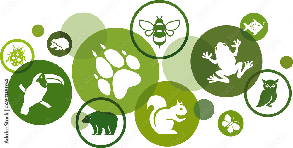 Biodiversity vector illustration. Green concept with icons related to ...