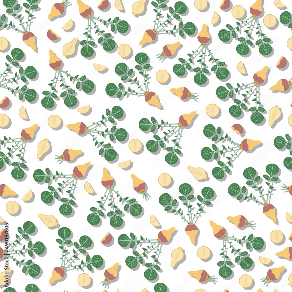 Seamless background of rutabaga. Whole, half, and sliced of Swedish ...