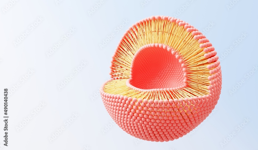 3d render cell membrane Phospholipid Bilayer. Layers of molecules. Gene ...