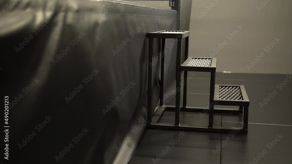 ladder for boxing ring concept martial arts, MMA stairs ladder ring ...