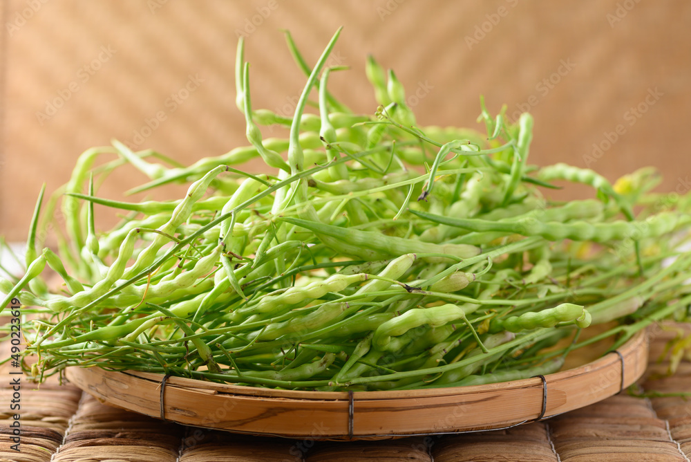 Rat tail Radish, Serpent radish or Tail pod radish (Raphanus caudatus ...