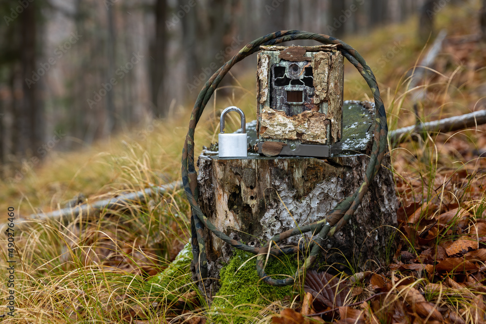 Trail camera in a metallic protection box with cable and lock. Concept ...