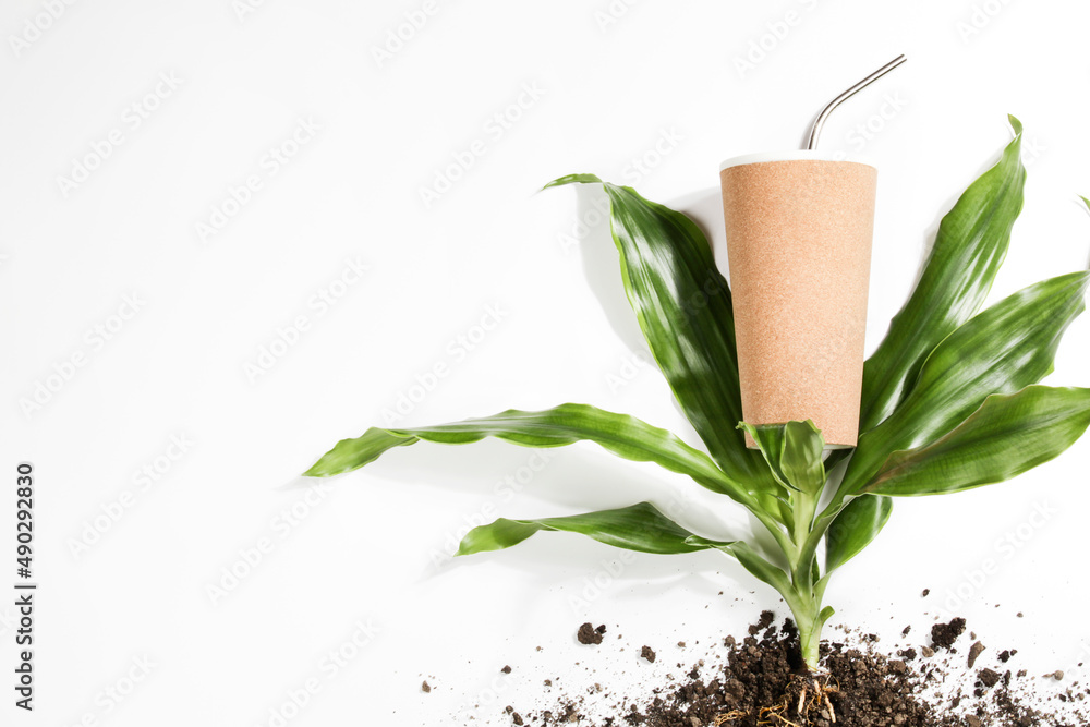 reusable eco coffee or tea cup, plant with roots in ground on white ...