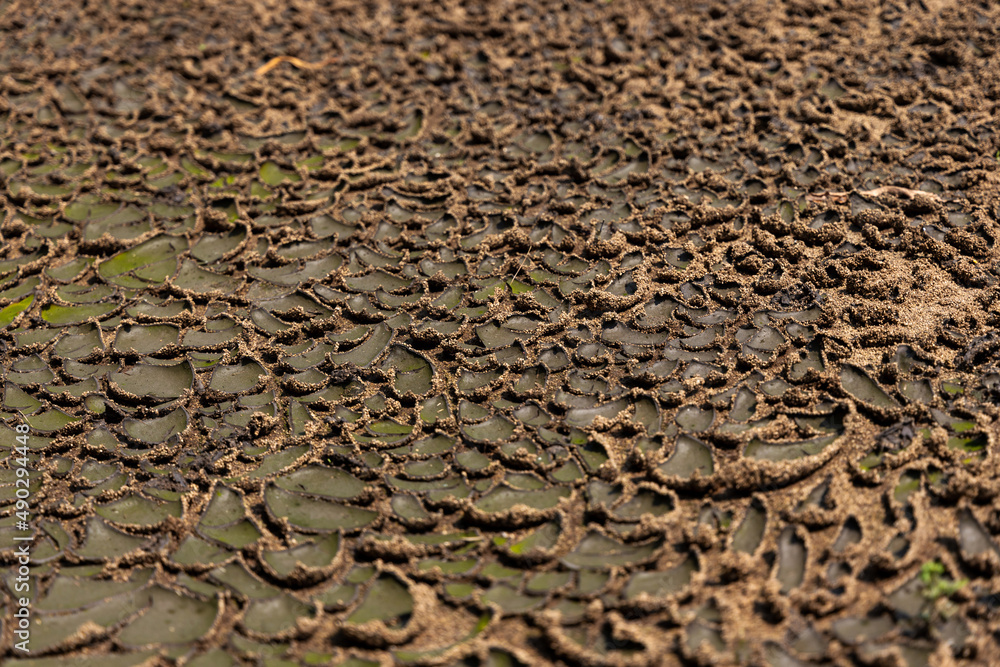 Sludge drying bed in waste-water treatment plant system, brown sand in ...
