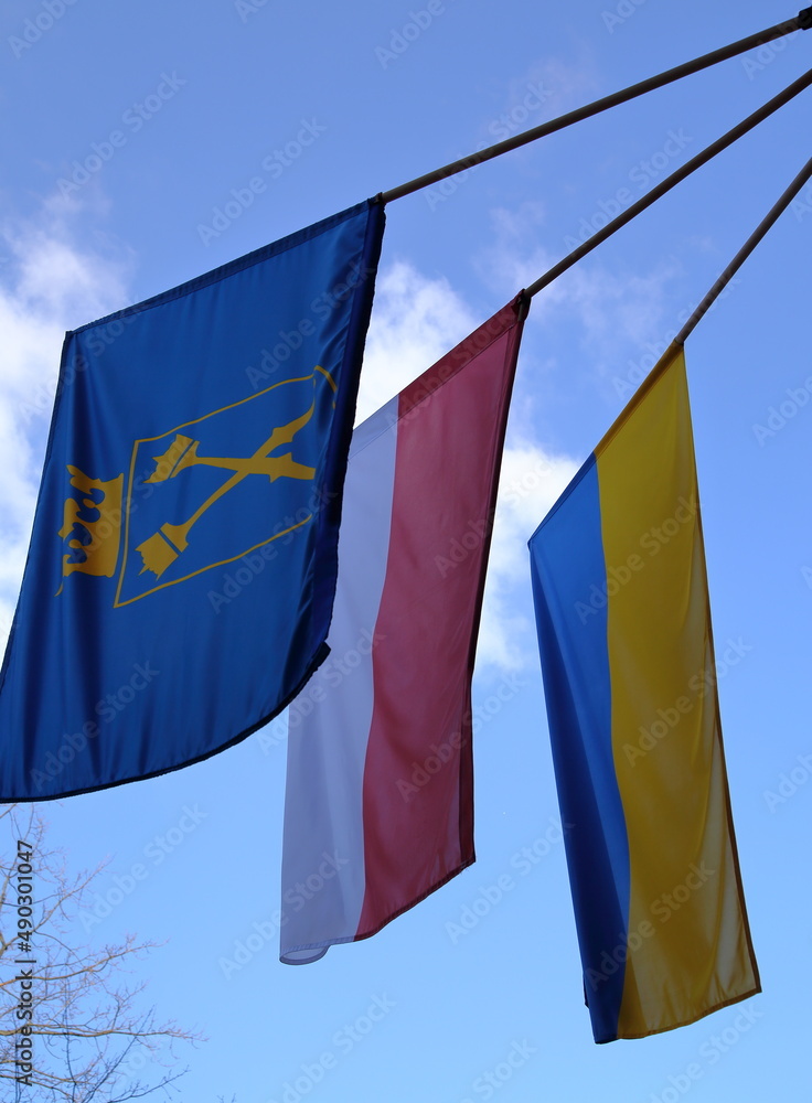 Polish Solidarity Flag