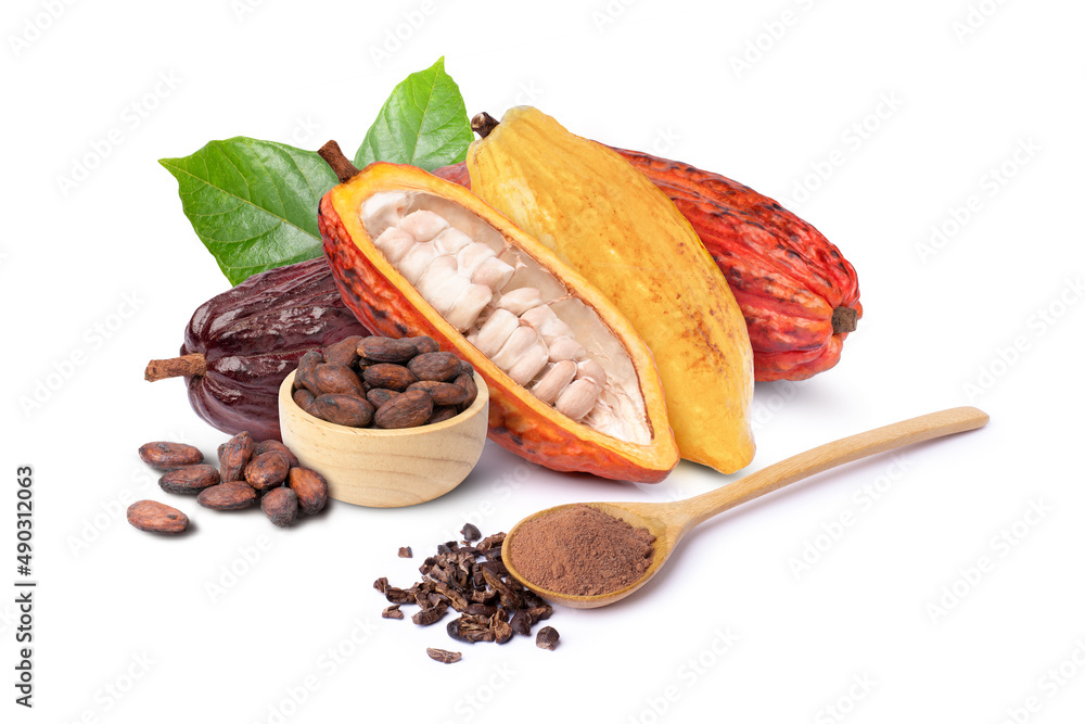 Group of various types of fresh cocoa fruits and dry cocoa beans in ...