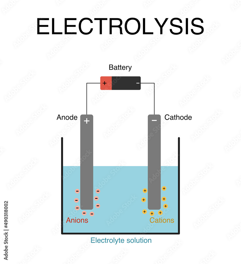 Poster Illustration of electrolysis diagram with cathode and anode ...