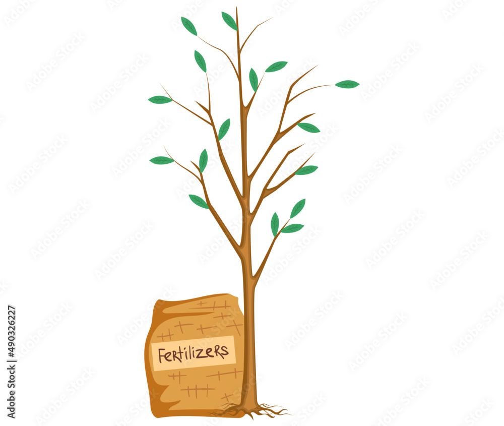 Fertilizer bag near young tree. Fertilizing soil, increasing yields ...