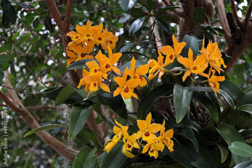 Butterfly World is located in Tradewinds Park in Coconut Creek, Florida ...