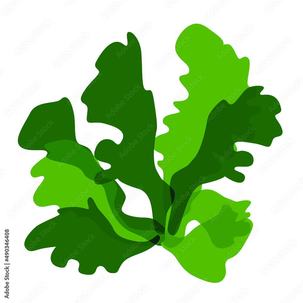 Green algae ulva fish is a clump of seaweed, edible algae. Stock Vector ...