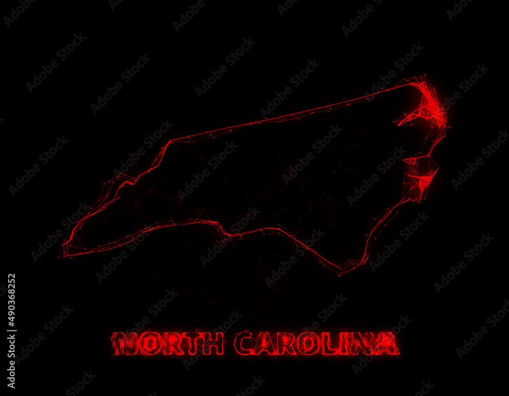 Plexus flat map showing the state of North Carolina from the United ...
