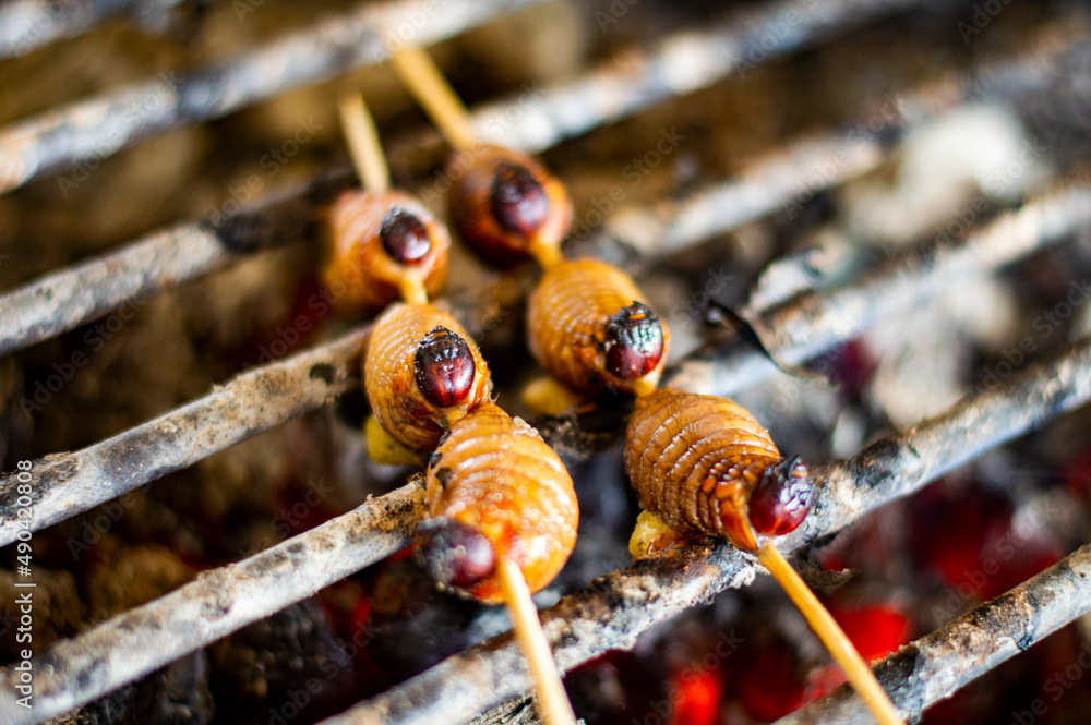 Palm worms getting ready to eat. A type of palm maggot called ...