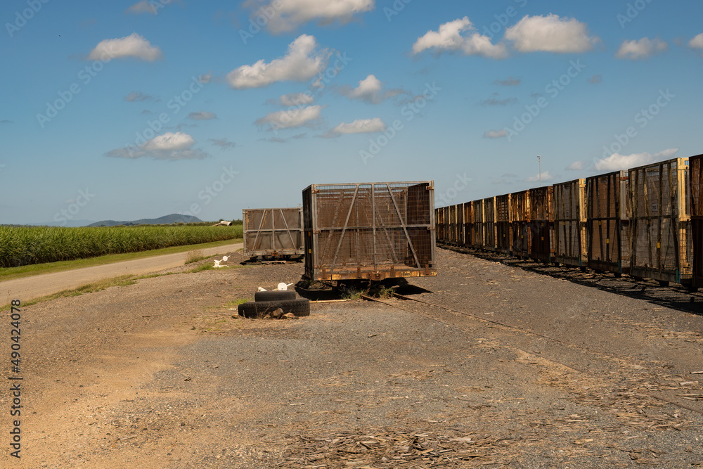 Empty sugar cane bins parked on a rail siding during the slack season ...