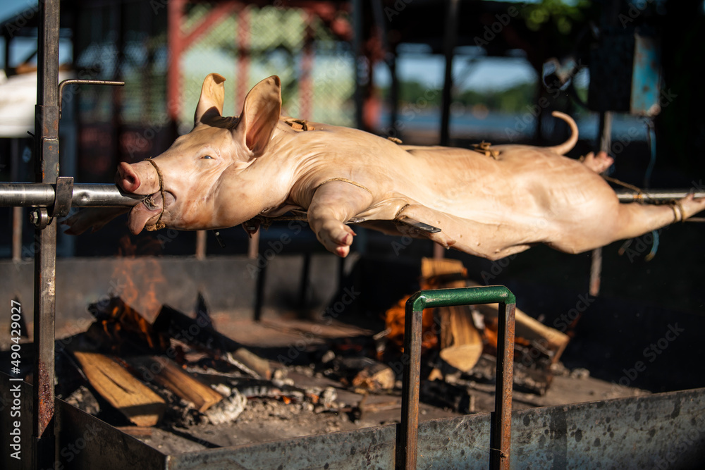 A young suckling pig on a skewer. Whole roasted pig on a rotating steel ...