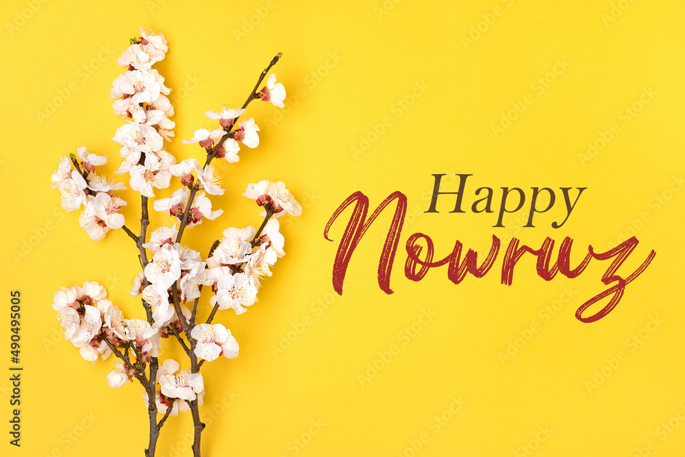 Sprigs of the apricot tree with flowers on yellow background Text Happy ...