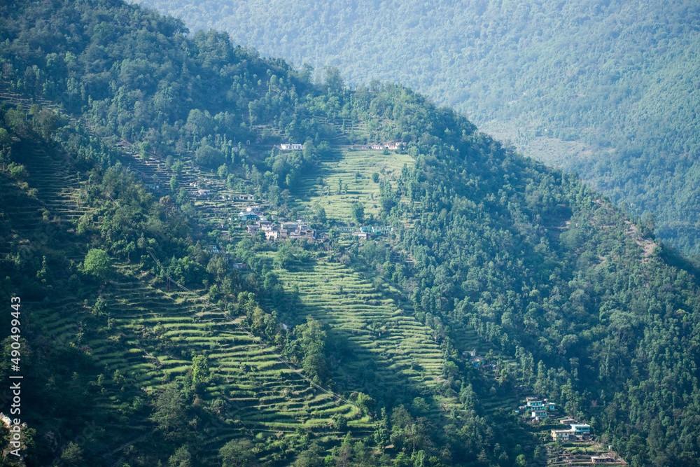 Spectacular view of himalayan mountain village nestled amidst big green ...