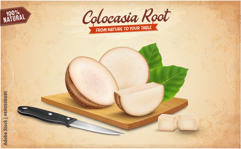 Colocasia root vector illustration with colocasia vegetable cubes ...