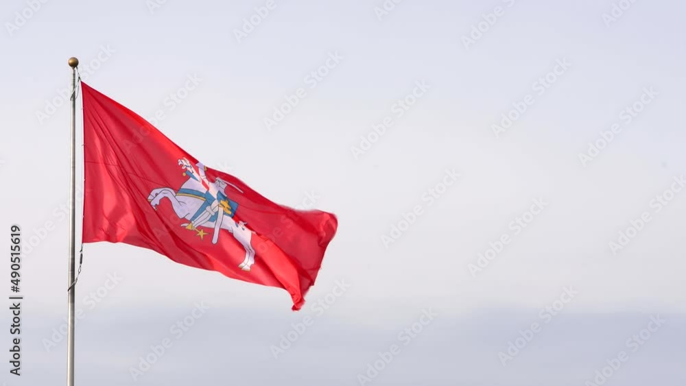 Vytis flag video. Coat of arms of the Republic of Lithuania. The ...
