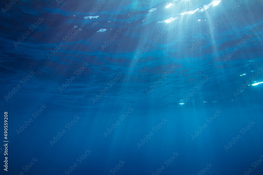 Deep blue tropical ocean underwater photo with sun rays Stock Photo ...