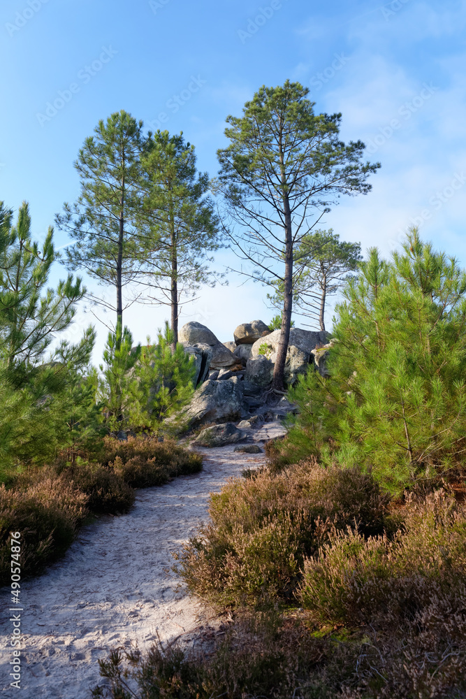 Sandy path in the circuit of 25 bumps hiking trail Stock Photo | Adobe ...