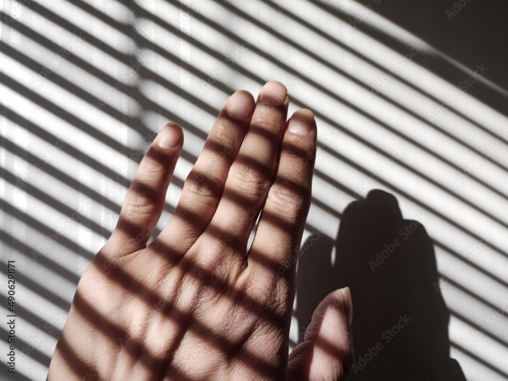 hand Stock Photo | Adobe Stock