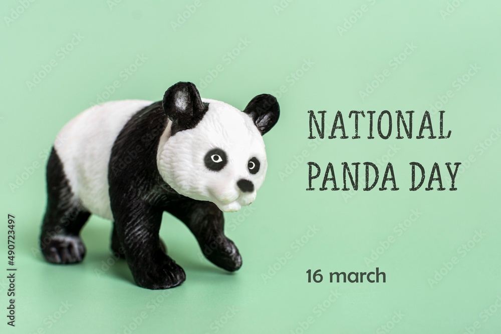 National Panda Day 16 March celebrate fluffiest, bamboo-munching bears ...