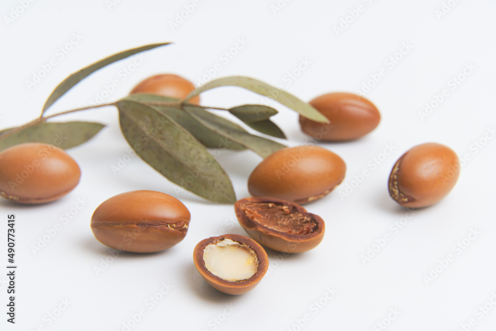 Argan seeds isolated on a white background. Argan oil nuts with plant ...