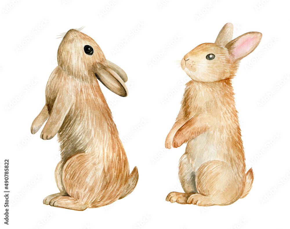 Watercolor rabbits illustration isolated on white background. Stock ...