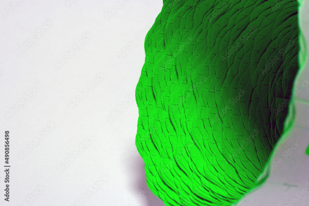 green price tag in a roll at an angle on a white background Stock Photo ...