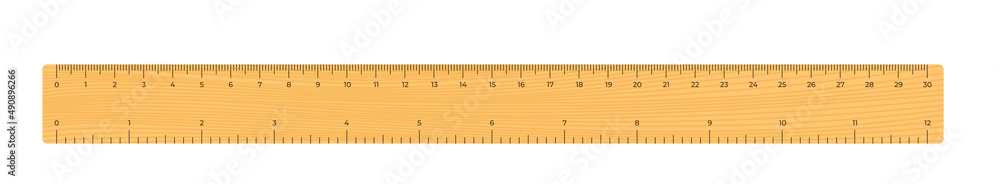 Vector illustration wooden tape ruler 30 cm and 12 inches isolated on ...