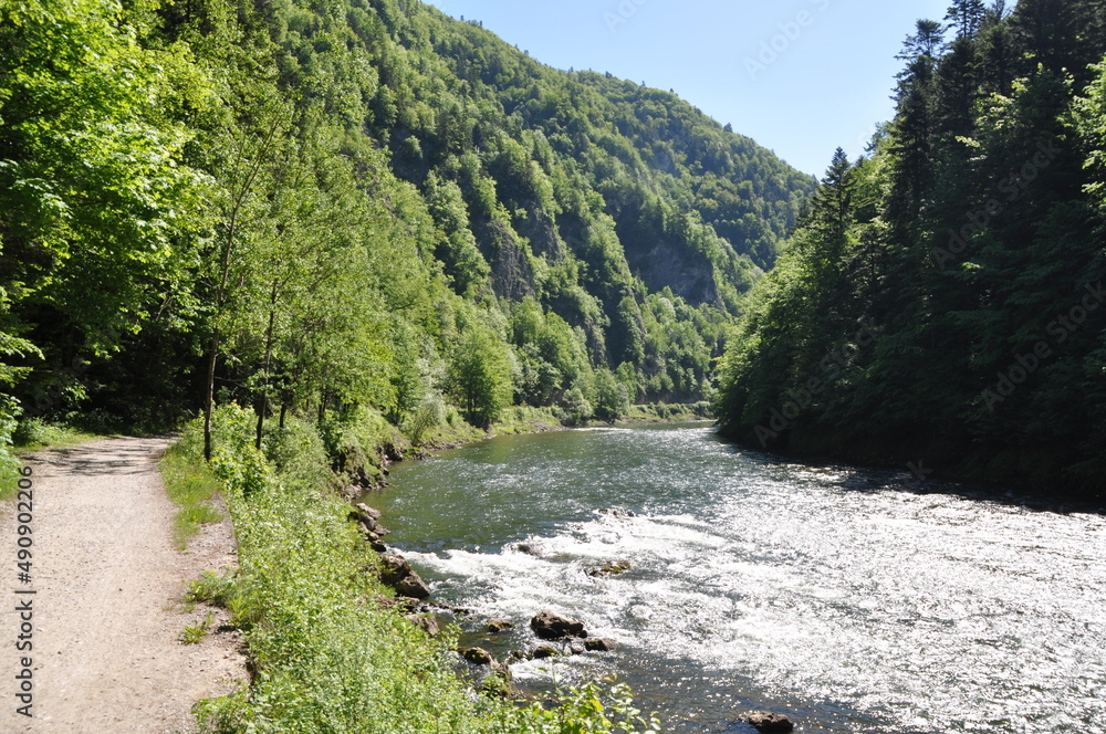 Rzeka Dunajec, Pieniński Park Narodowy, woda, zieleń, Stock Photo ...