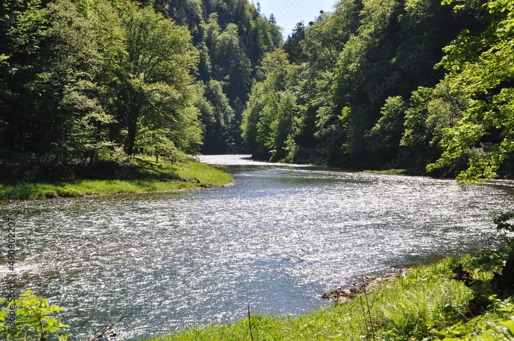 Rzeka Dunajec, Pieniński Park Narodowy, woda, zieleń, Stock Photo ...