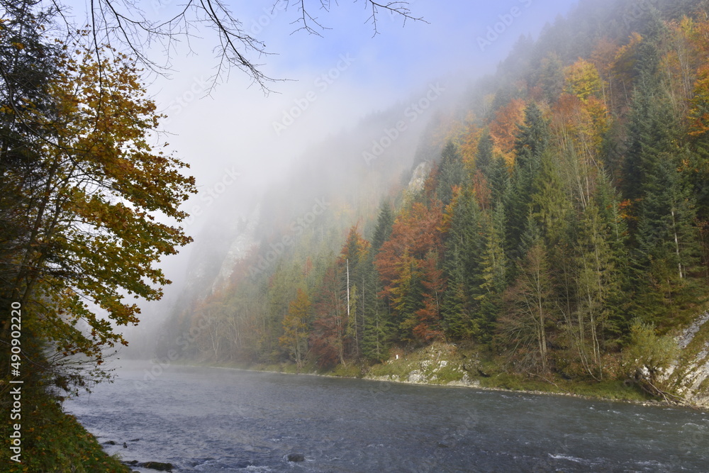 Rzeka Dunajec, Pieniński Park Narodowy, woda, zieleń, Stock Photo ...