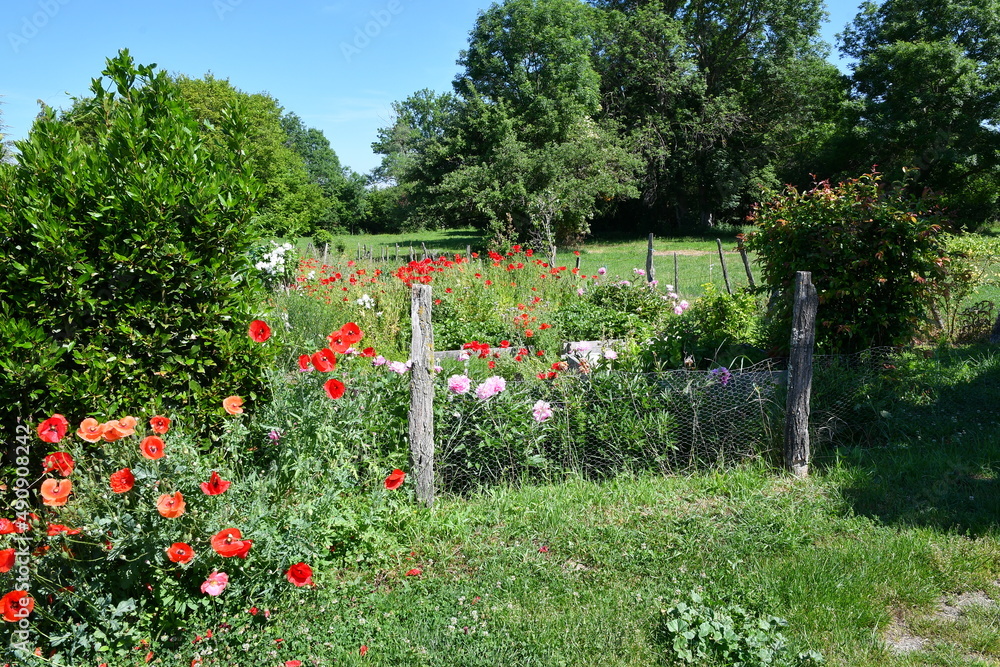 Superbe jardin recouvert de fleurs formant un magnifique tableau coloré ...