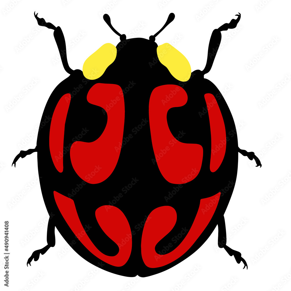 Ladybug. A drawing of a beetle. A useful insect, an enemy of grain ...