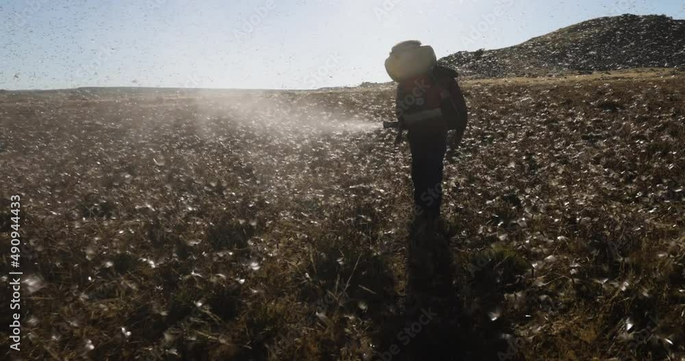 Stockvideon Slow motion. Black farmer walking and spraying insecticide ...
