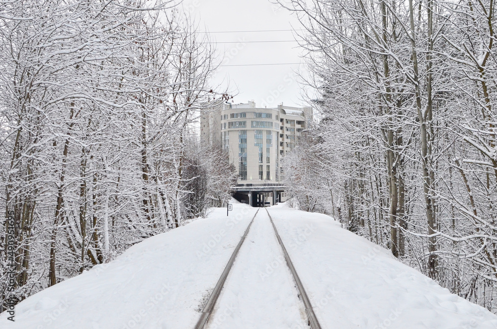 Railroad in the snow. Winter landscape in the forest with an empty ...
