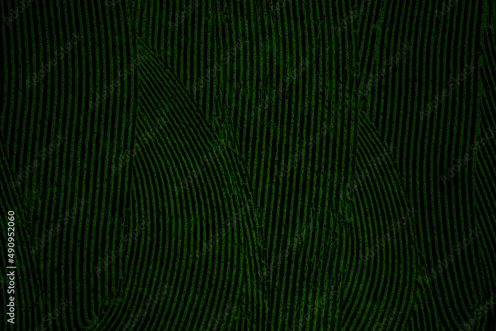 fond vert, motif lignes et courbes Stock Photo | Adobe Stock