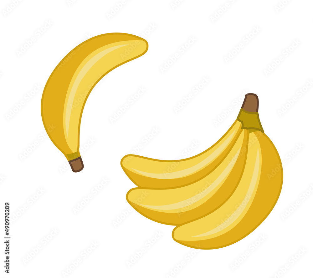 Banana set and Bundle of three bananas. Vector illustration of fruits ...