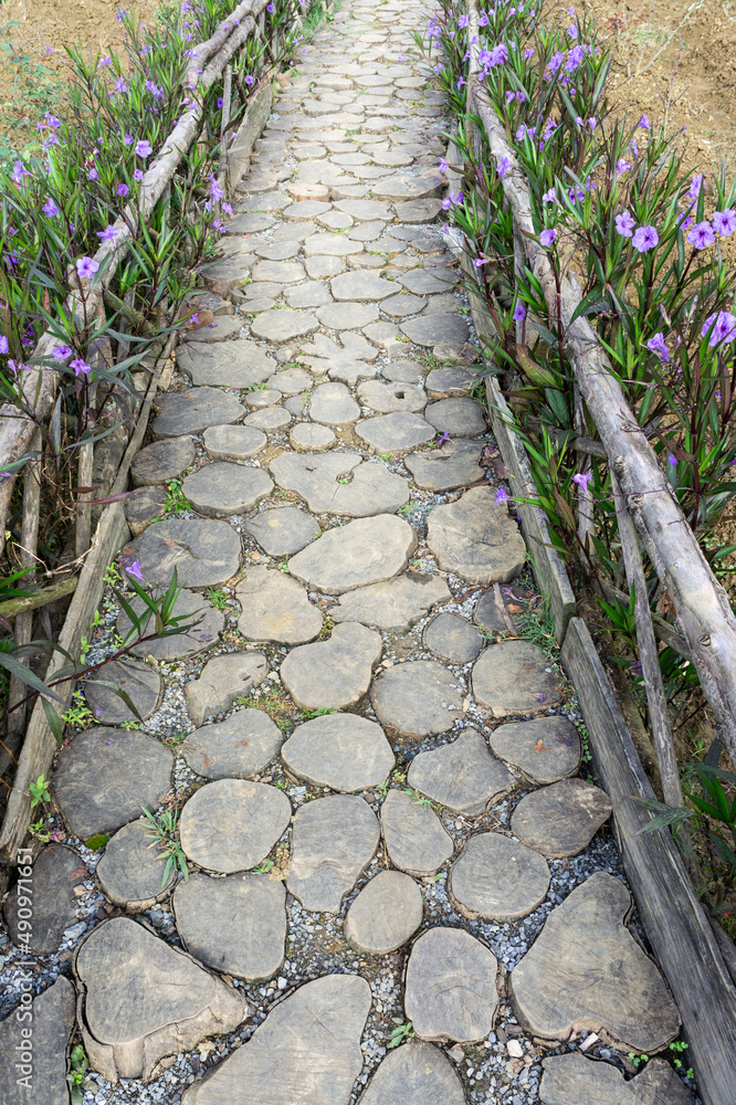 The path in the garden of wooden round logs. Wood texture. In the park ...