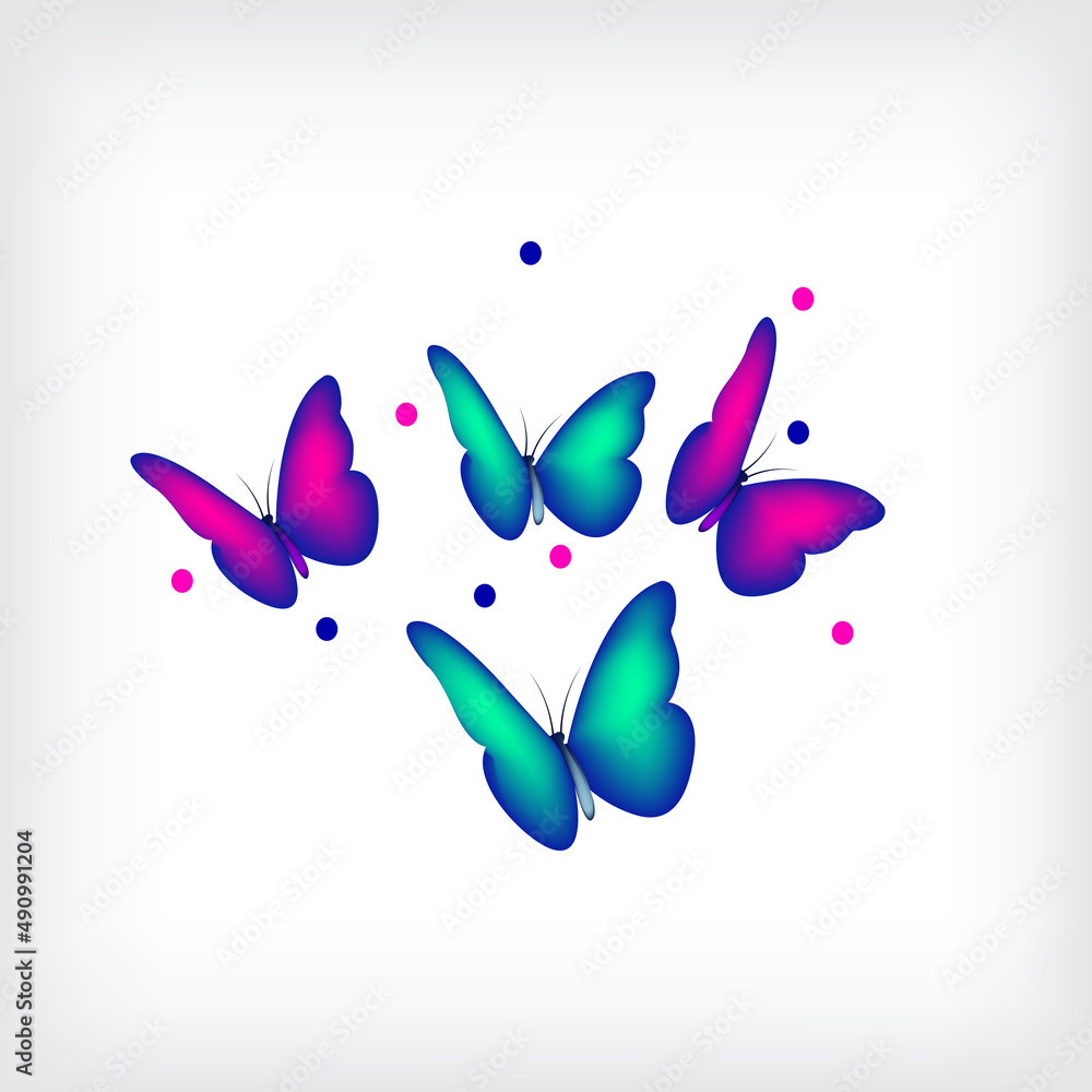 Butterfly insect graphic vector.Used to butterfly animation concept ...