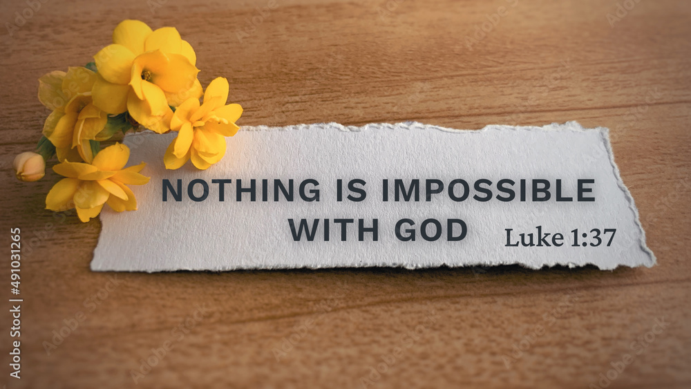 Top view of Bible verse Nothing is impossible with God. Yellow flower ...