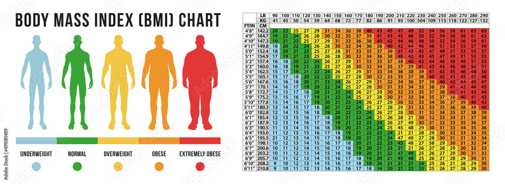 Body Masse index chart, vector illustration Stock Vector | Adobe Stock