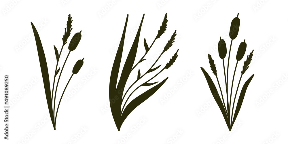Reed Grass Silhouette. Black hand drawn Reeds Sketch. Vector set of ...