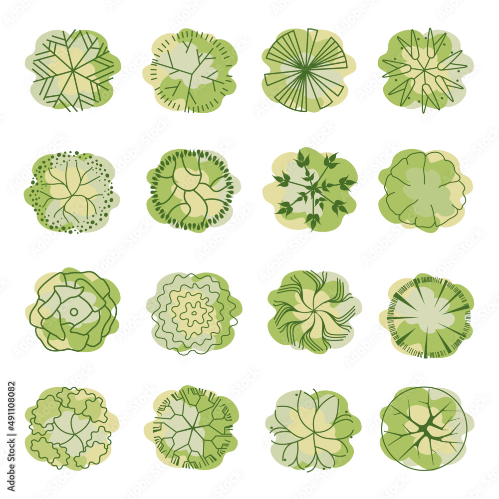 Trees for the master plan. Tree for architectural floor plans ...